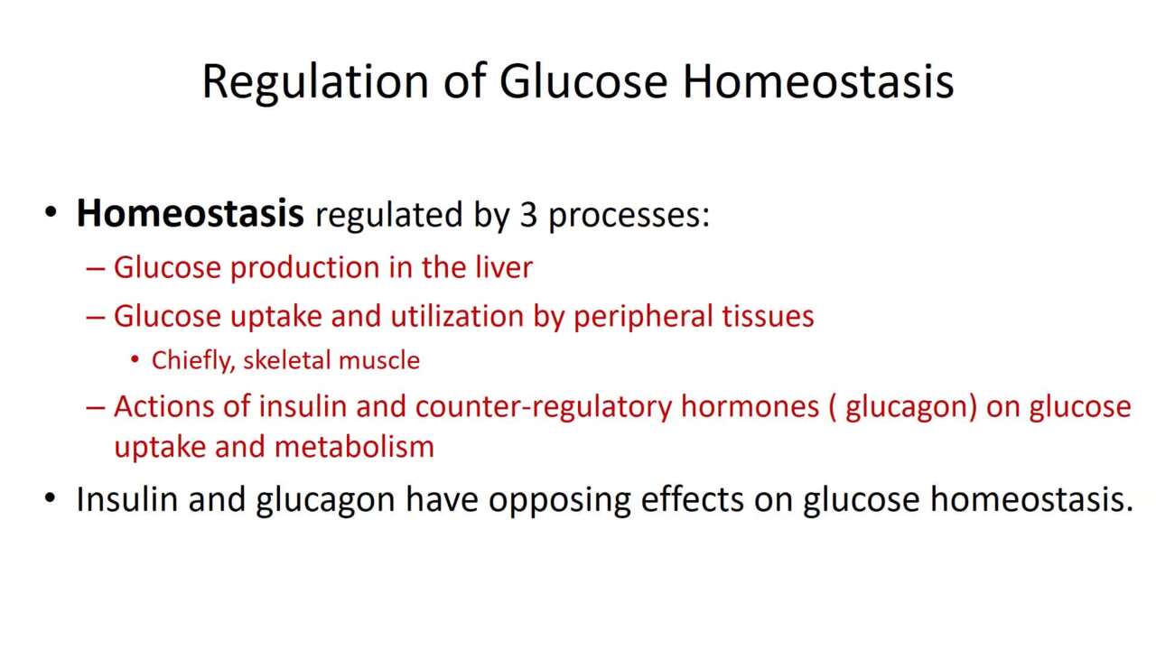PA 511, Pathophysiology II, Lecture Adrenal and Pancreas | Topper Station