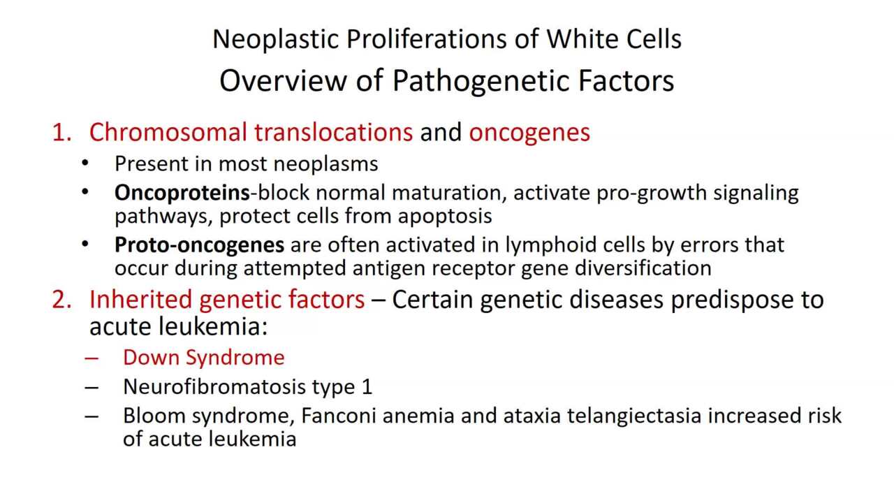 PA 511 - Pathophysiology II - Lecture WBC conditions - February 21 ...