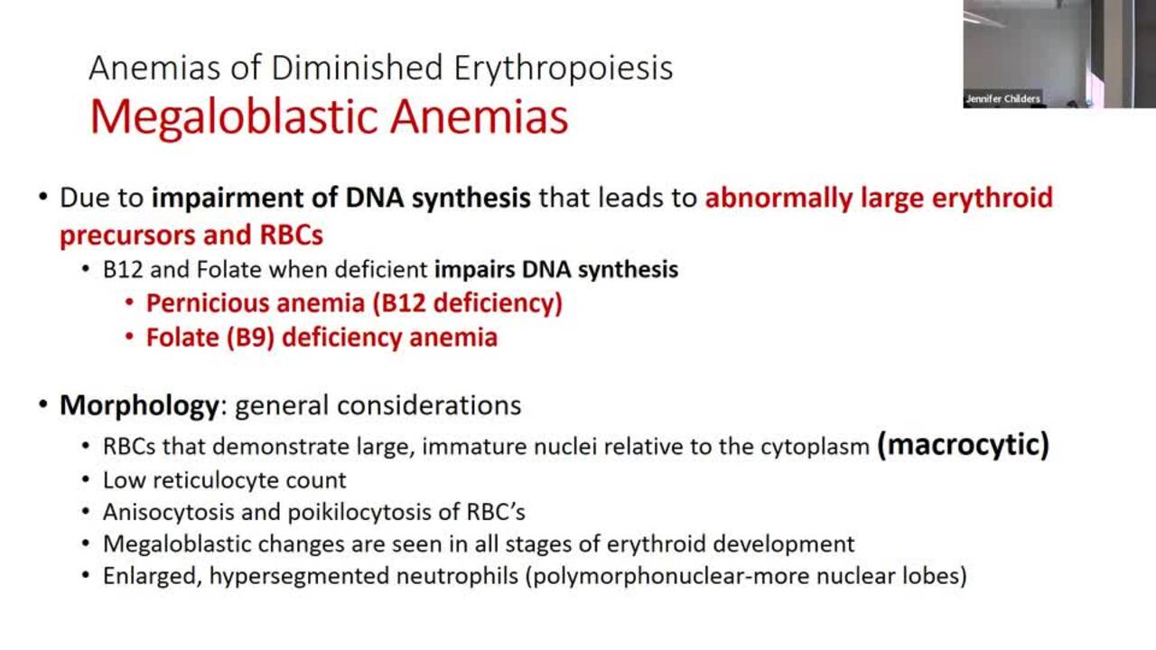 PA 511 - Pathophysiology II - Lecture RBC's part II - March 1, 2024 ...
