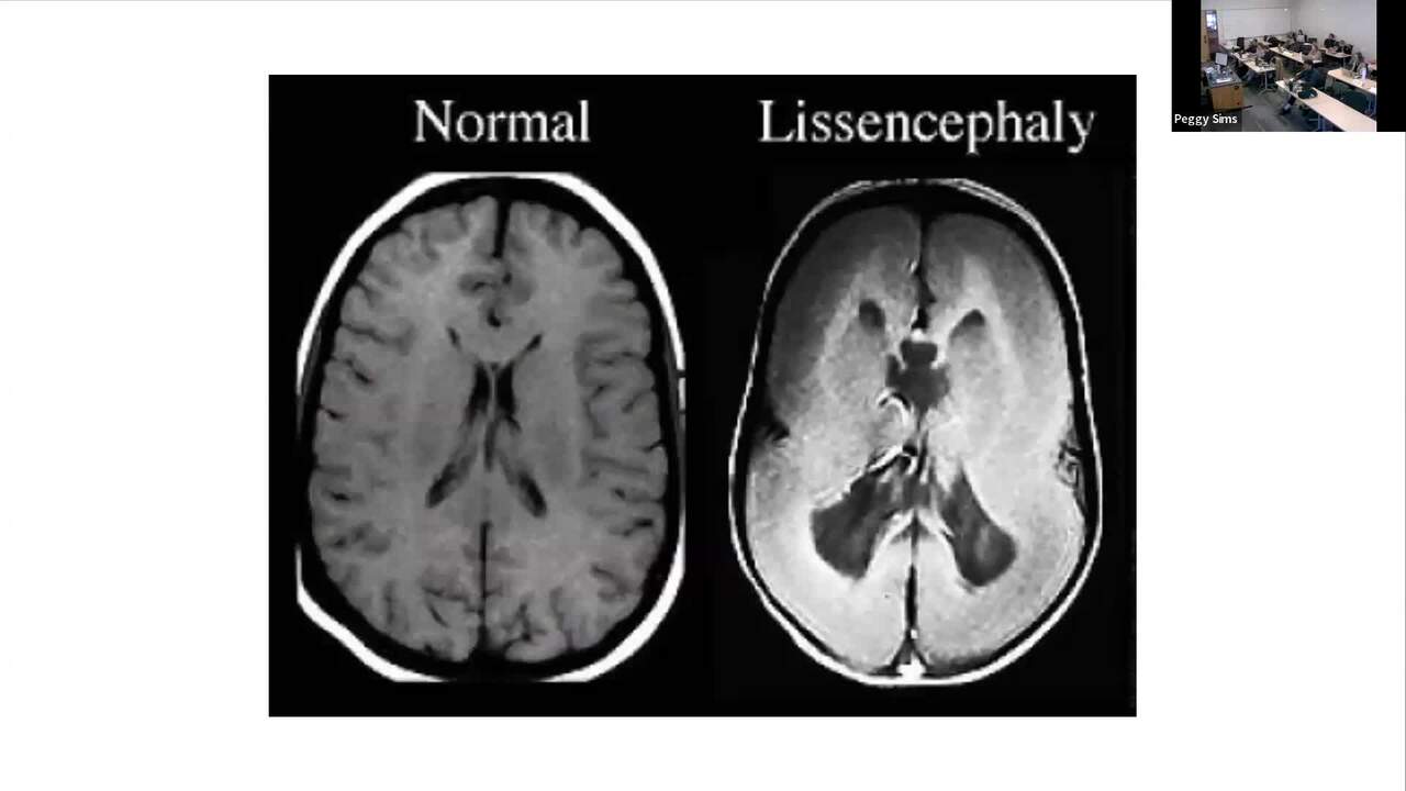 PA 511 - January 30th, 2025 | Topper Station