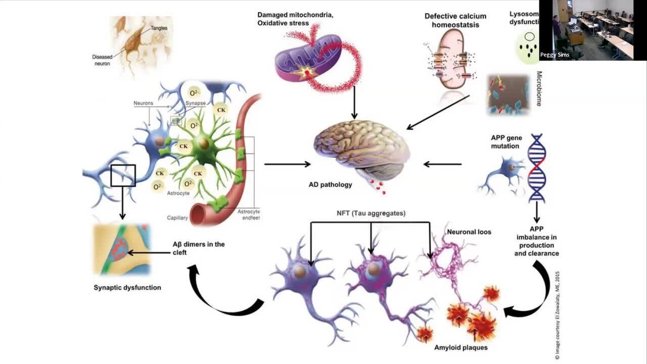 PA 511 - February 4, 2025 | Topper Station