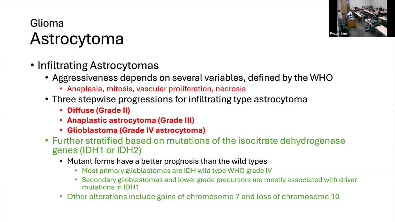 PA 511 - February 6, 2025 | Topper Station