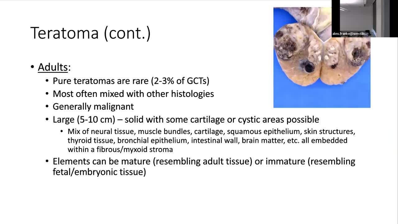 PA 511 Pathophysiology II - March 6, 2025 | Topper Station