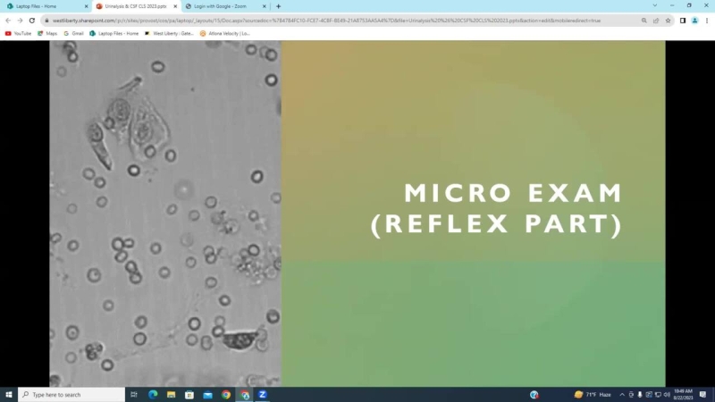 PA 511 - Pathophysiology II-Lecture - CNS Tumors - February 13, 2024 ...